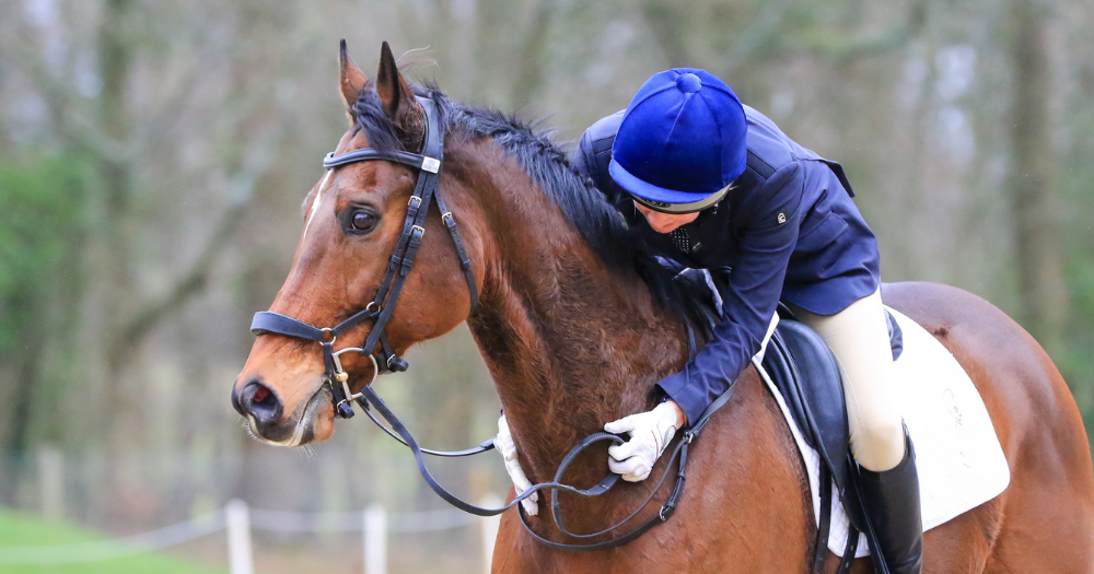 RoR Educational Webinars - Confidence and… | Retraining of Racehorses