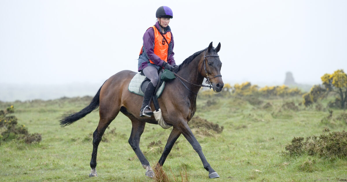 RoR EGB Team Red Dragon | Retraining of Racehorses