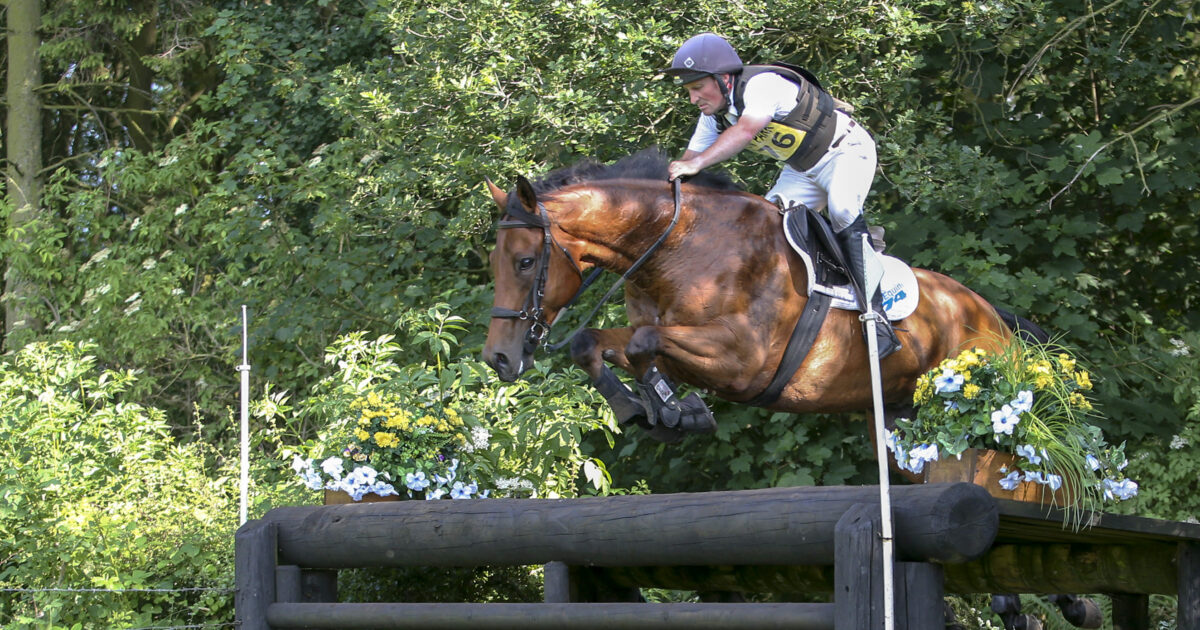 RoR BE Novice Eventing Championship | Retraining of Racehorses