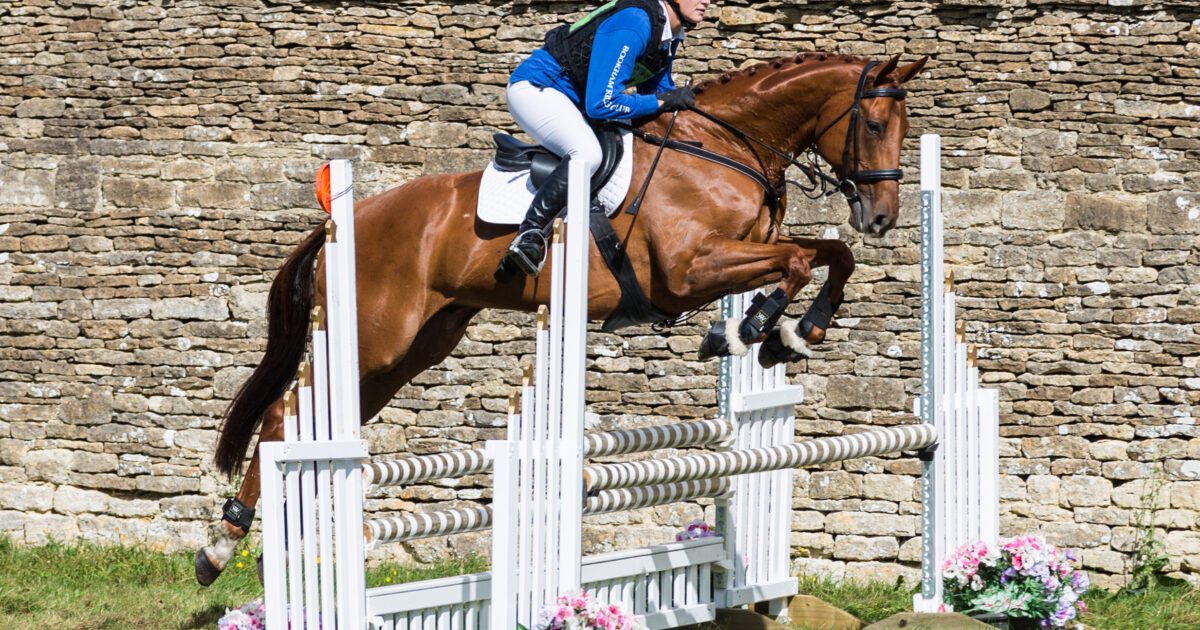 Eland Lodge Arena Eventing League | Retraining of Racehorses