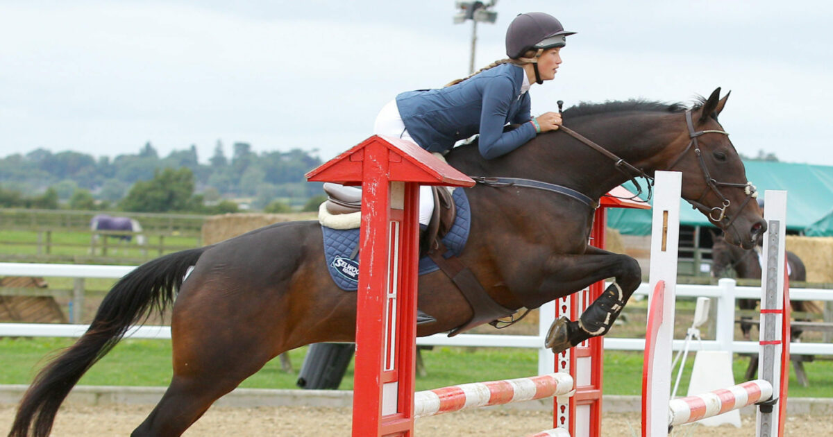 British Showjumping National Championships - Retraining of Racehorses