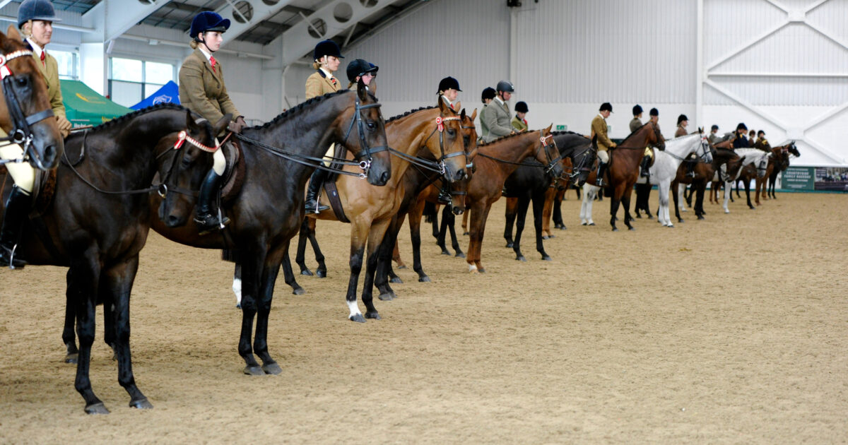 The Jockey Club RoR National Championships - Retraining of Racehorses