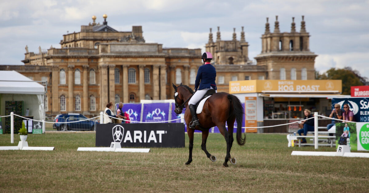 RoR Southern Dressage Horse Championships - Retraining of Racehorses