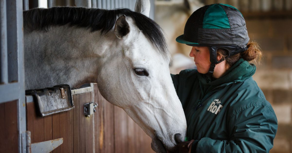 BHA Board adopts the RoR Strategy 2024-2026 | Retraining of Racehorses