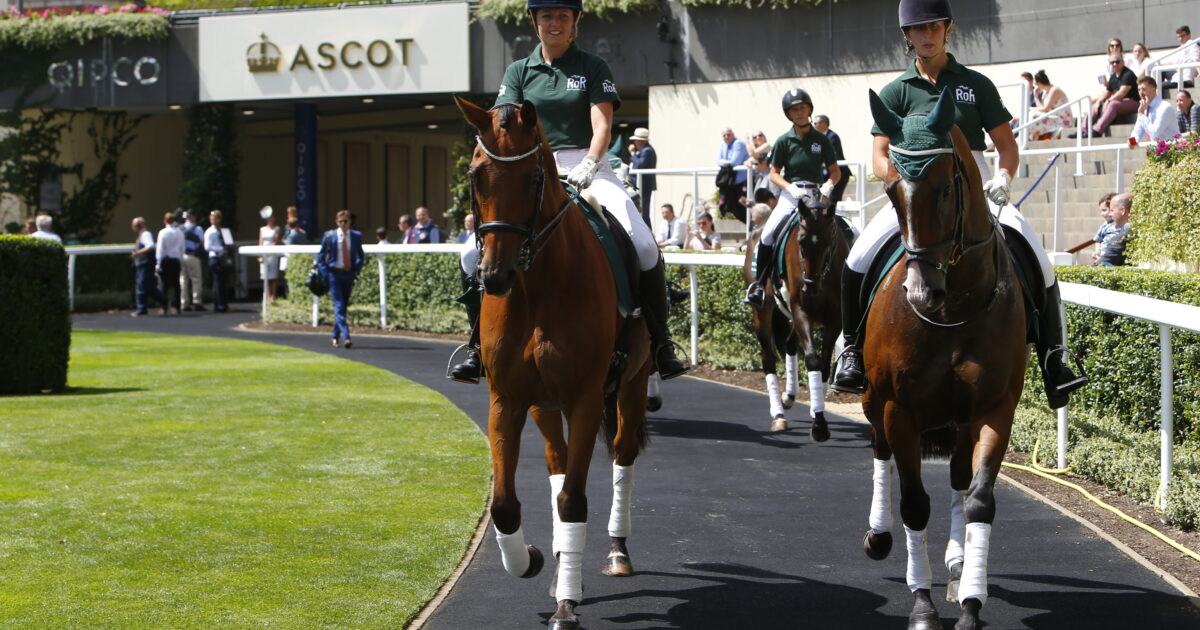 RoR Dressage display team make their… | Retraining of Racehorses