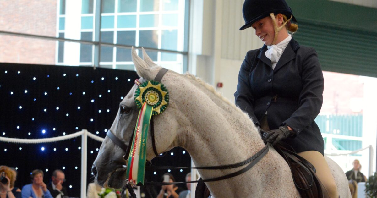Beware Chalk Pit, Right You Are and Wild… | Retraining of Racehorses