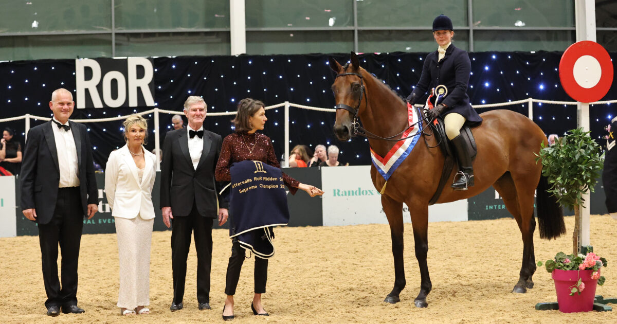 Hazel Hill scores glory at RoR… | Retraining of Racehorses