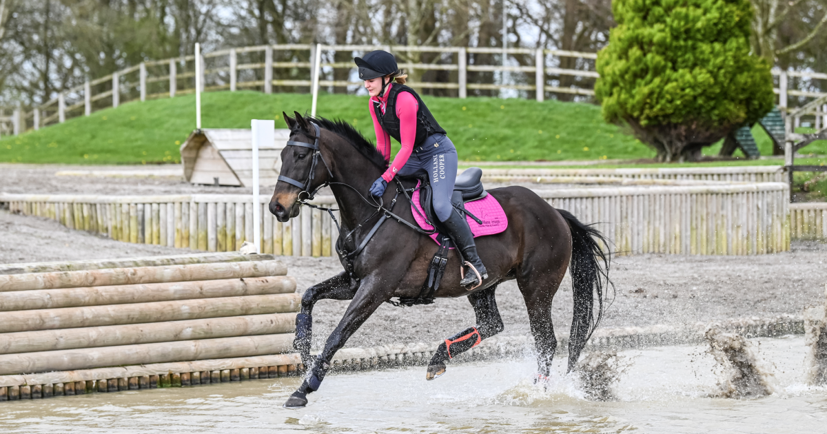 RoR Parade set at Dubai Future Champions… | Retraining of Racehorses