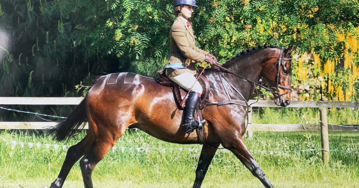 Racing Staff Week - Sophie Brown and… | Retraining of Racehorses