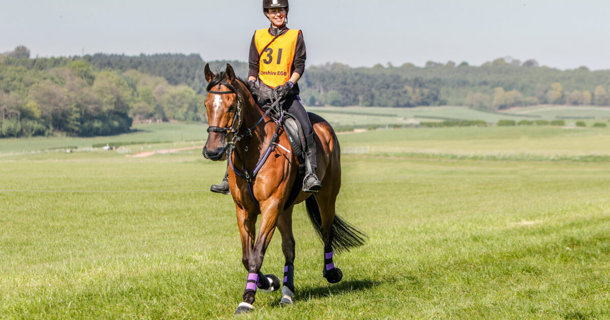 Calling all RoR Endurance riders | Retraining of Racehorses