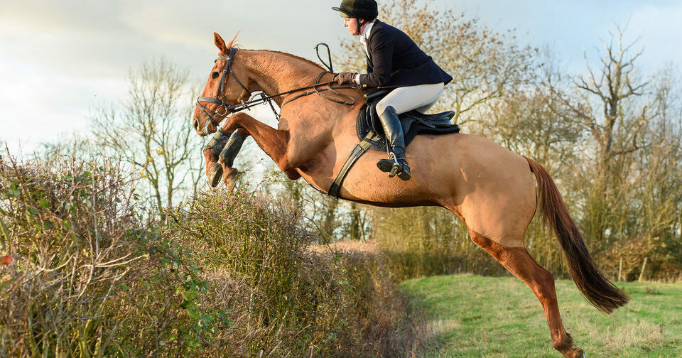 Focus on Aintree for Ri-Dry RoR Racing to… | Retraining of Racehorses