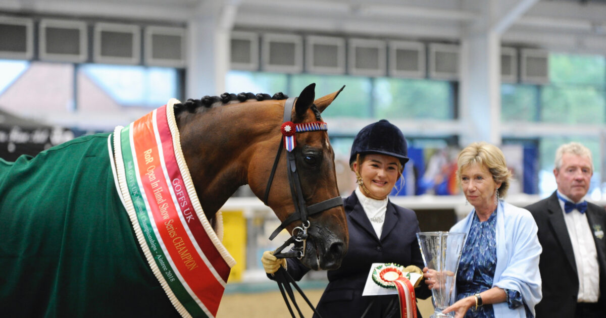 Beware Chalk Pit strikes gold to win Horse… | Retraining of Racehorses