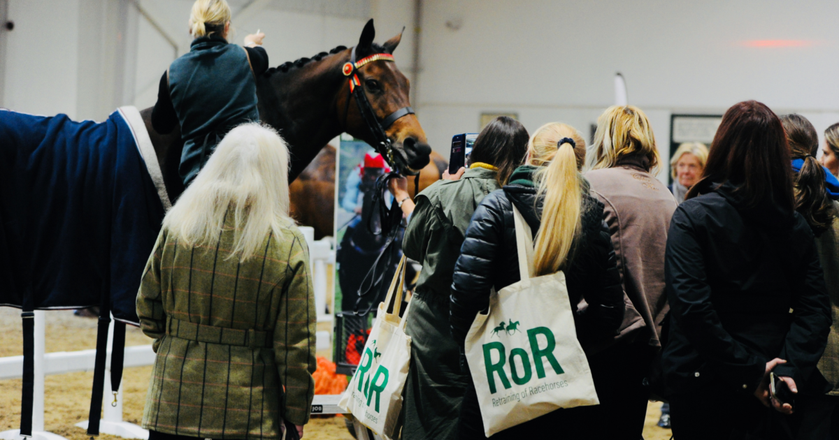 Tickets on Sale for RoR Showcase | Retraining of Racehorses