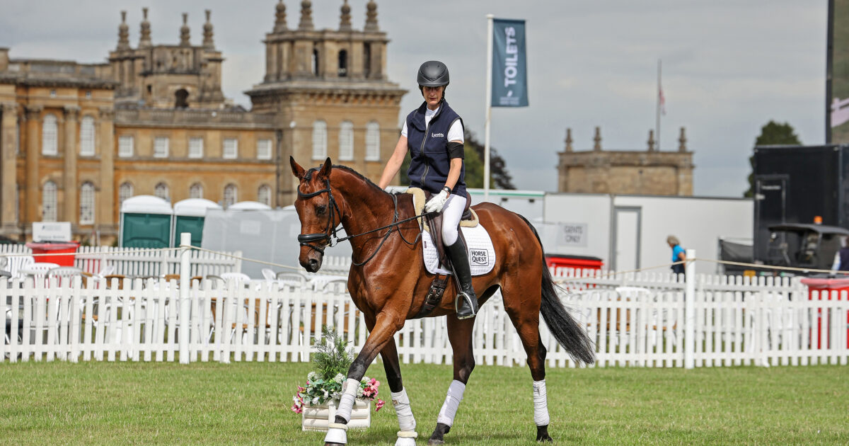 Champion Day RoR Parade features Native… | Retraining of Racehorses