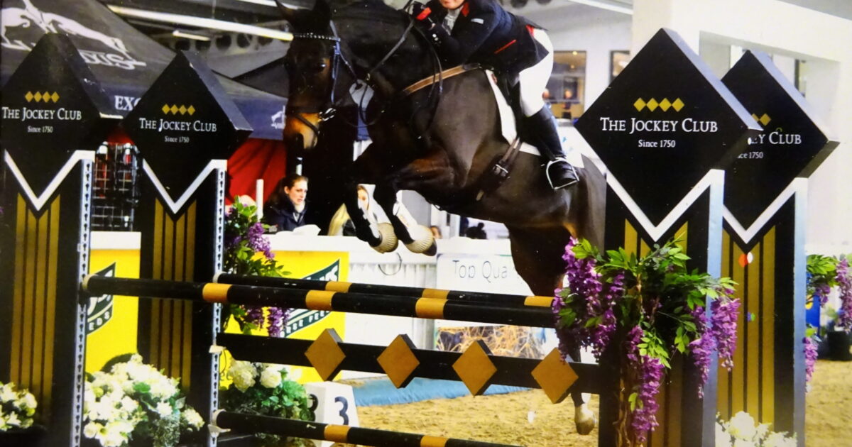 Master Wickham – the gift horse that went… | Retraining of Racehorses