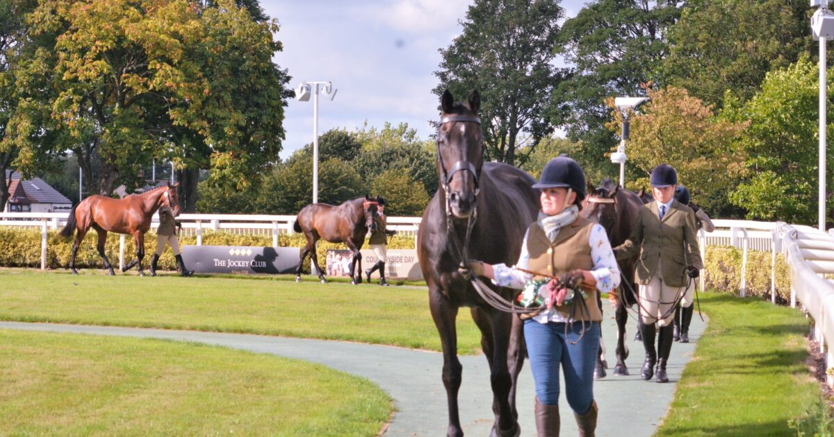 RoR Launches online RoR Open In-Hand… | Retraining of Racehorses