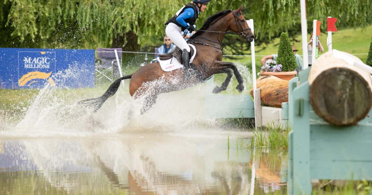 Retraining of Racehorses partner with BEDE… | Retraining of Racehorses