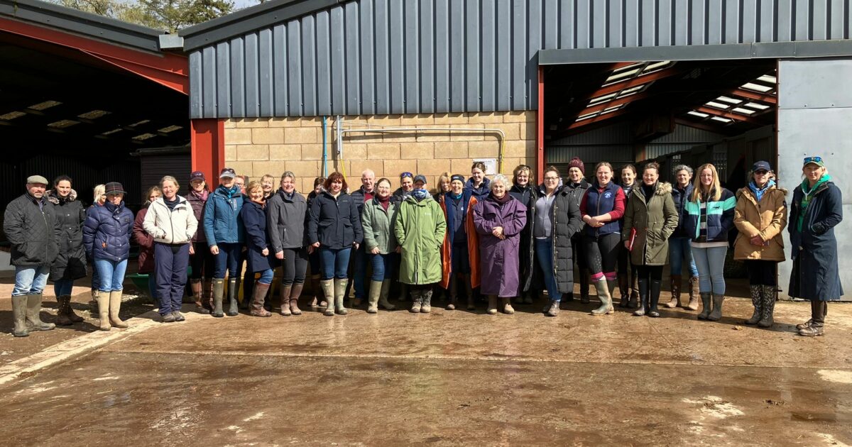 Inside an RoR Insight Day | Retraining of Racehorses