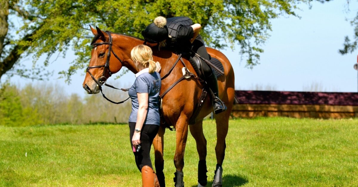 Maxilian's Story by Aimee Leach | Retraining of Racehorses