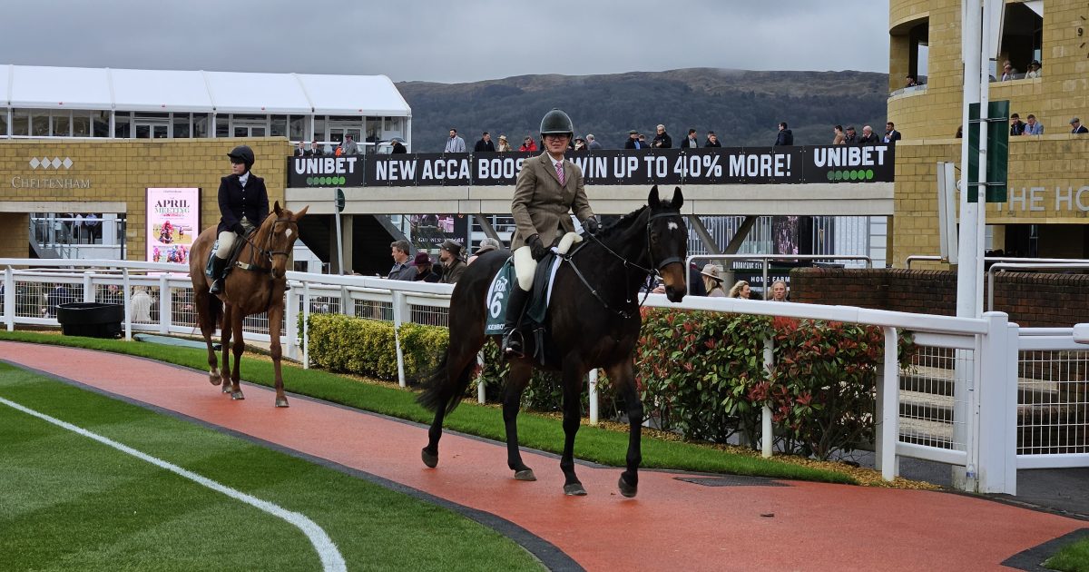 Retraining of Racehorses parade to feature… | Retraining of Racehorses