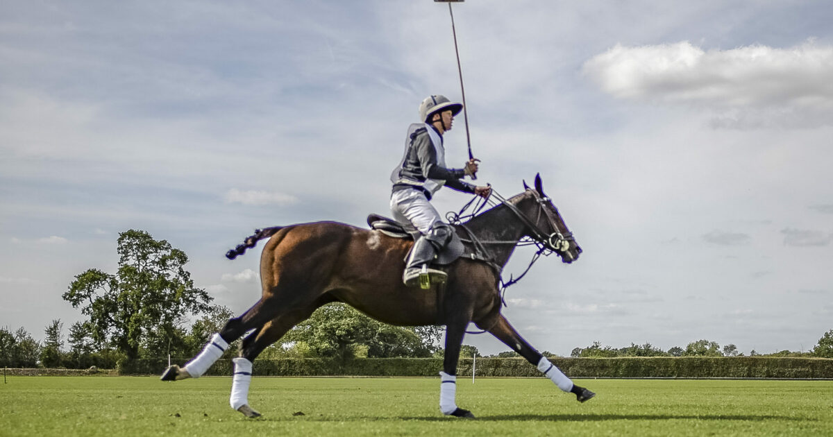 Rain doesn’t stop play in the RoR Racing… | Retraining of Racehorses