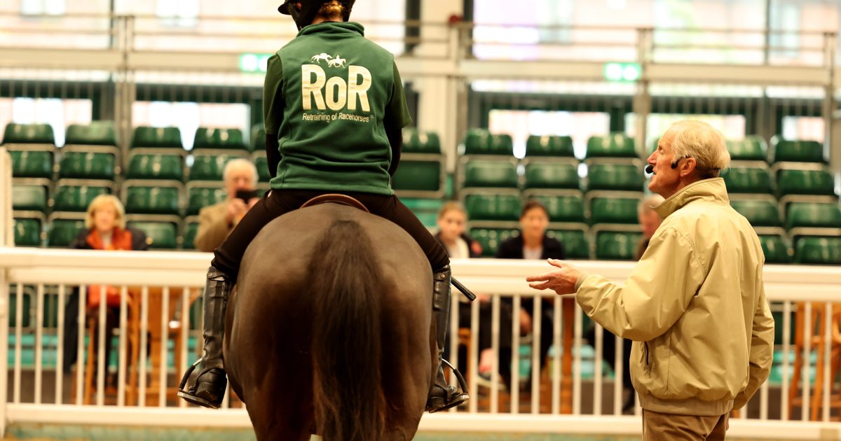 RoR members: we heard you – and here’s… | Retraining of Racehorses