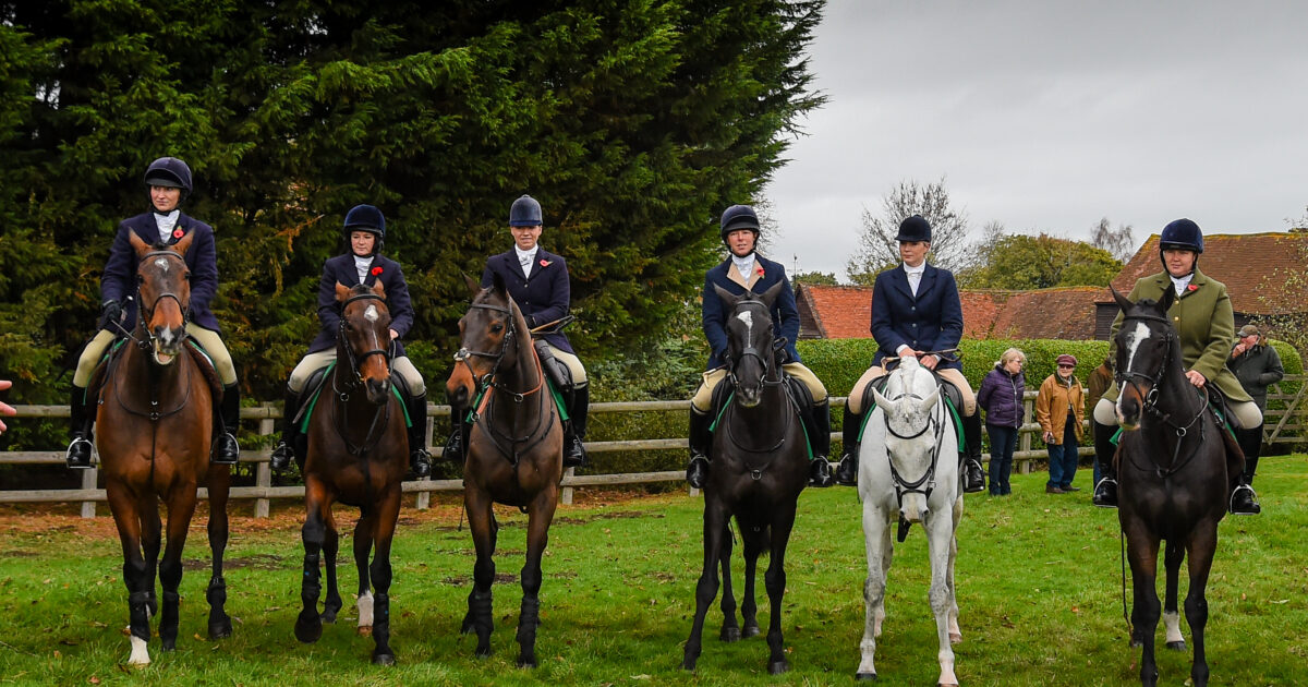 Finalists announced for the Ri-Dry RoR… | Retraining of Racehorses
