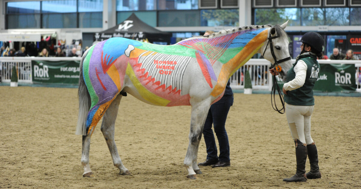 Successful First RoR Showcase | Retraining of Racehorses