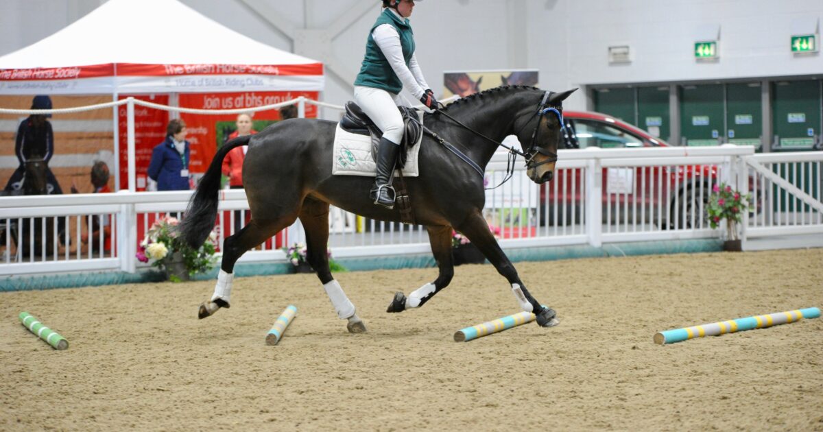 RoR Educational Wednesdays a resounding… | Retraining of Racehorses