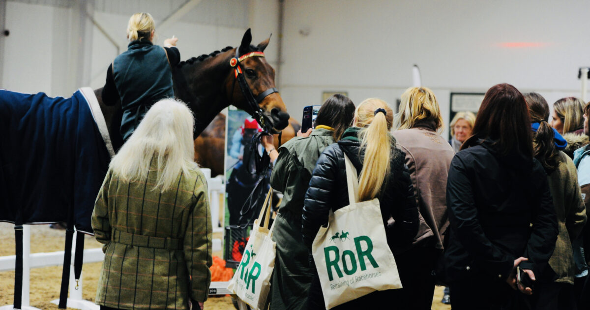 RoR Launches Educational Wednesdays | Retraining of Racehorses