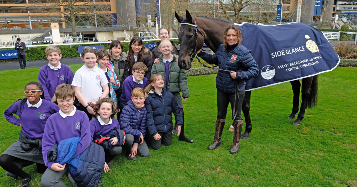 RoR announces ‘Horses for Courses’ equine… | Retraining of Racehorses