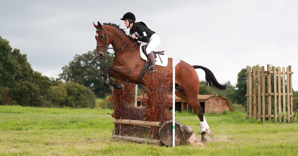 Racing Staff Week - Molly Sherring | Retraining of Racehorses