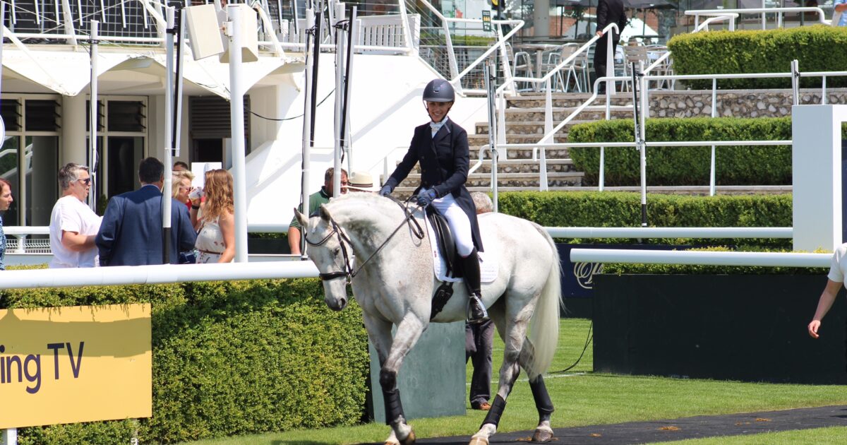 Hexham Racecourse joins RoR Horses for… | Retraining of Racehorses