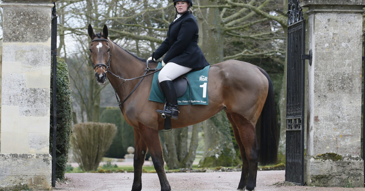 Finalists revealed for 2020 Ri-Dry Racing… | Retraining of Racehorses