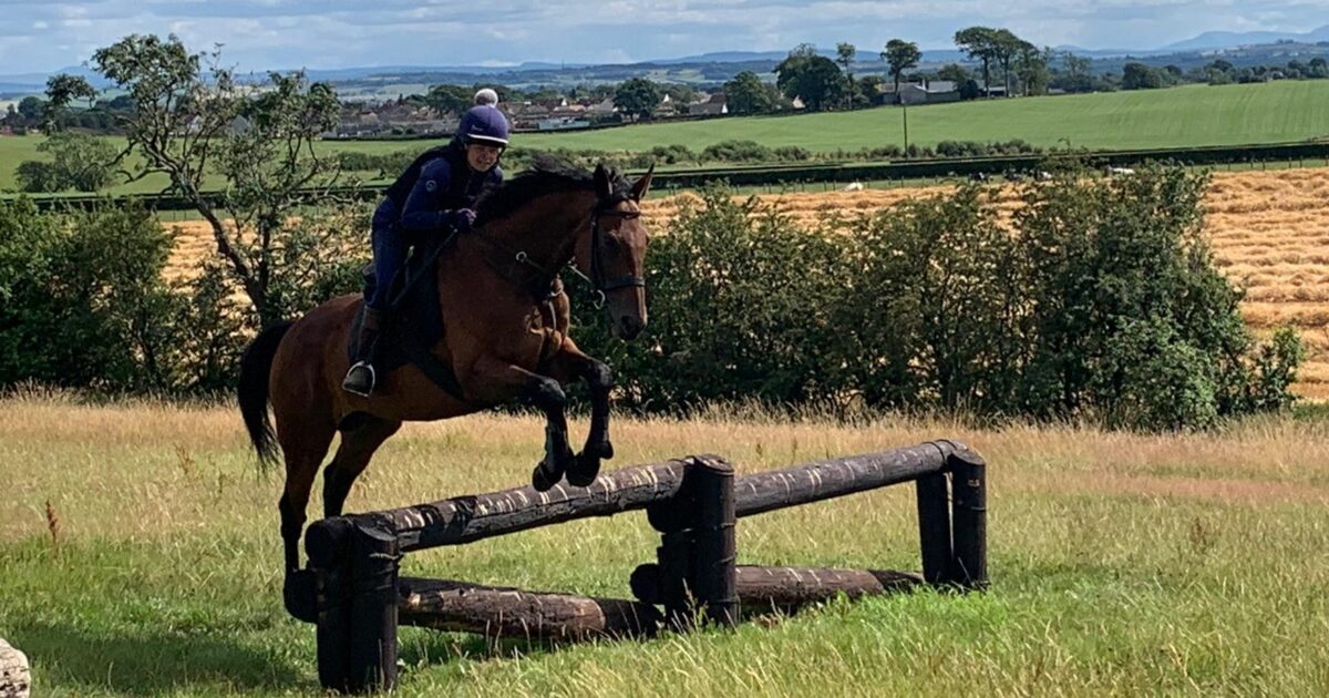 Racing Staff Week - Lyndsey Goldie | Retraining of Racehorses