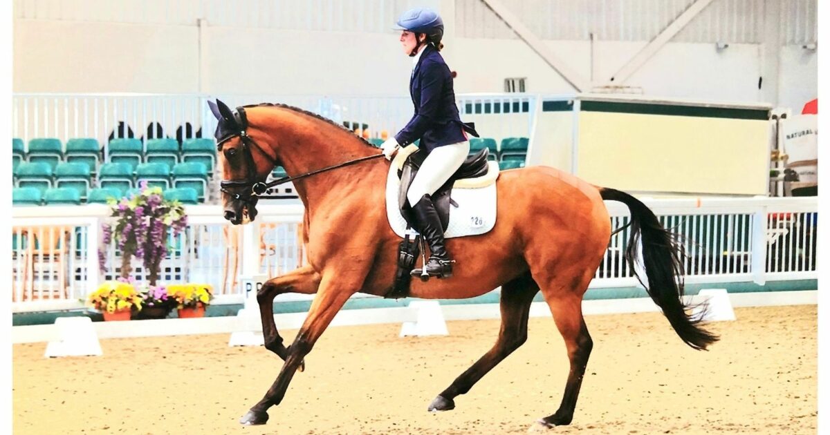 RoR Support Racing Staff Week | Retraining of Racehorses