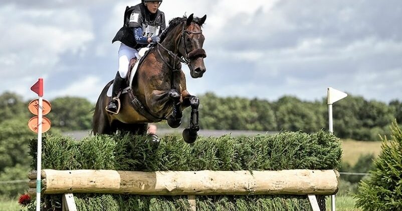 Henri De Boistron - RoR Horse Personality… | Retraining of Racehorses