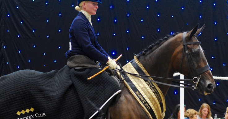 Entries open for The Jockey Club RoR… | Retraining of Racehorses