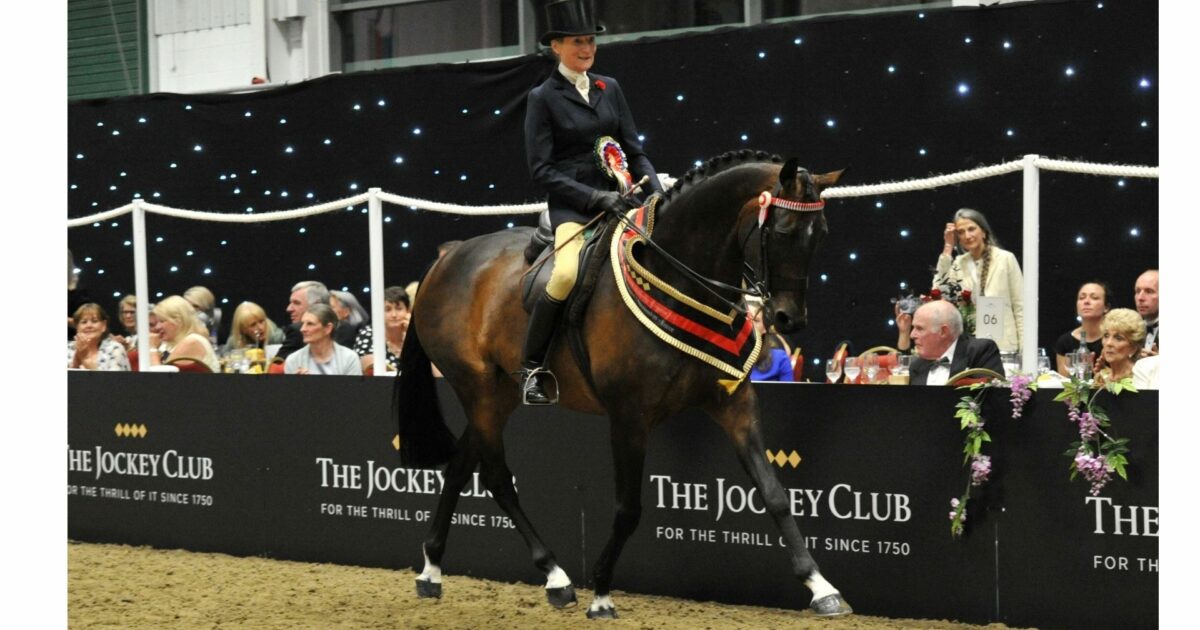 Minella Rebellion repels all-comers to be… | Retraining of Racehorses