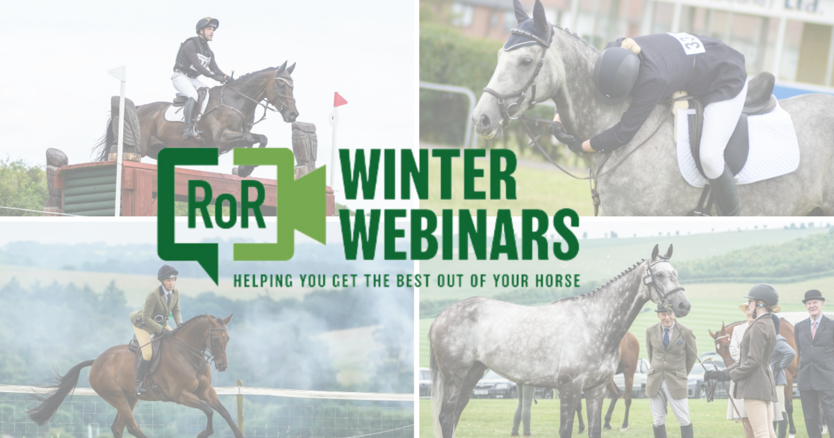 Expand Your Knowledge with RoR’s Winter… | Retraining of Racehorses