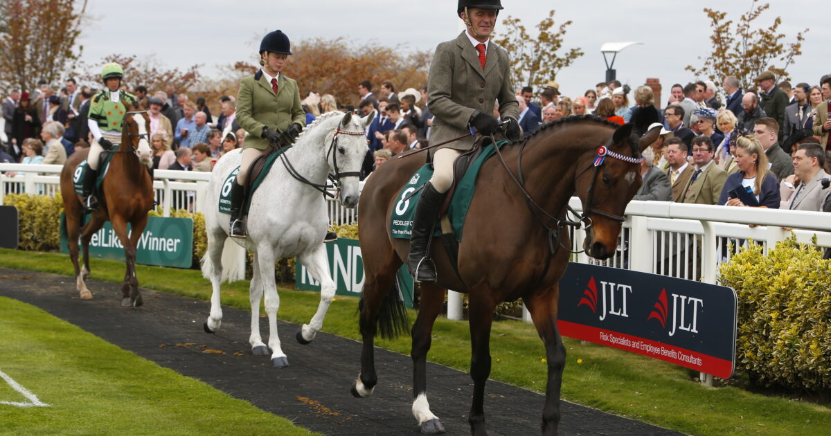 ARC launch Awareness Days to promote RoR - Retraining of Racehorses