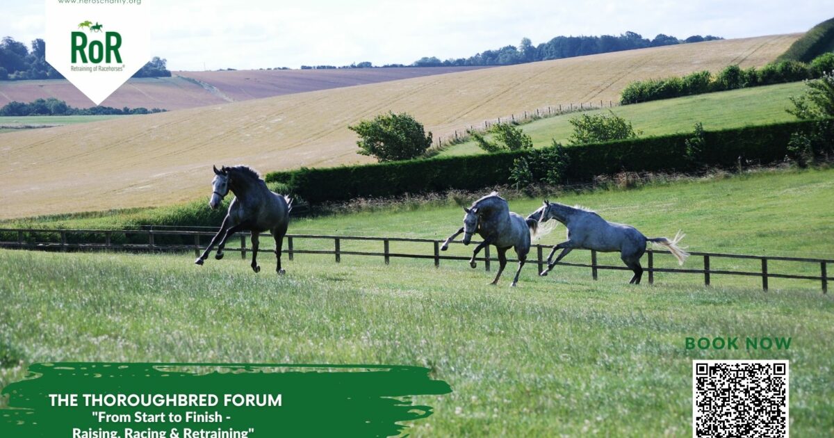 The Thoroughbred Forum – “From Start to Finish – Raising, Racing ...