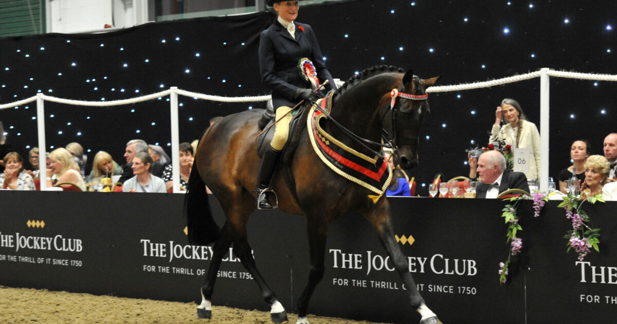 RoR stars assemble for National Championships at Aintree - Retraining ...