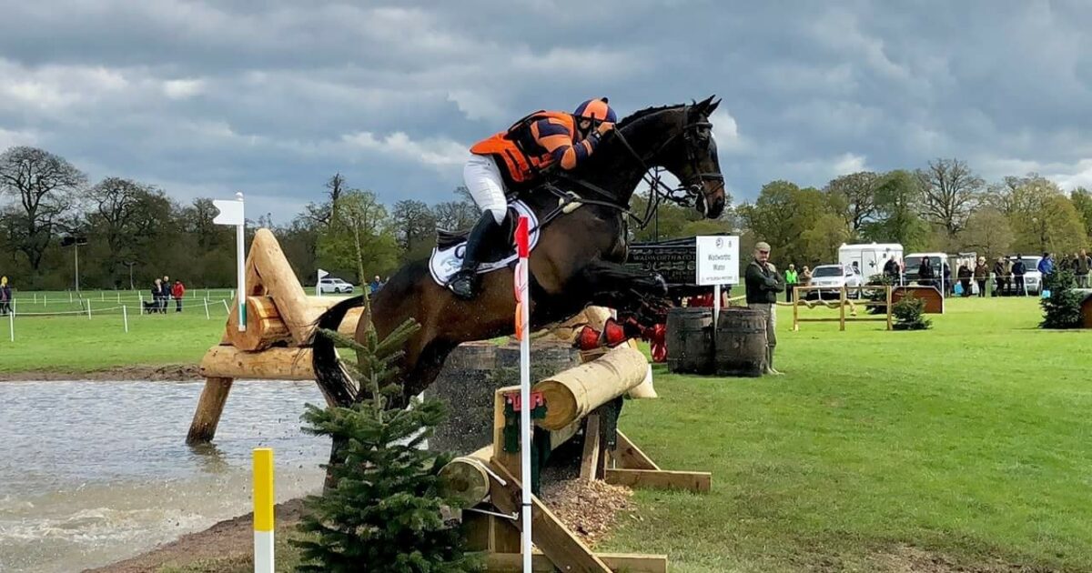 Meet the contenders for RoR Horse of the Year - Retraining of Racehorses