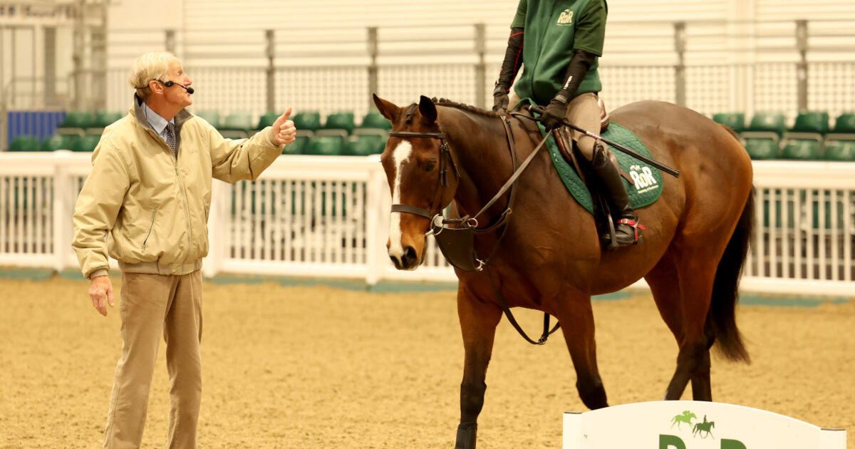 Aintree Hosts Thrilling Day of Racing and Retraining of Racehorses ...