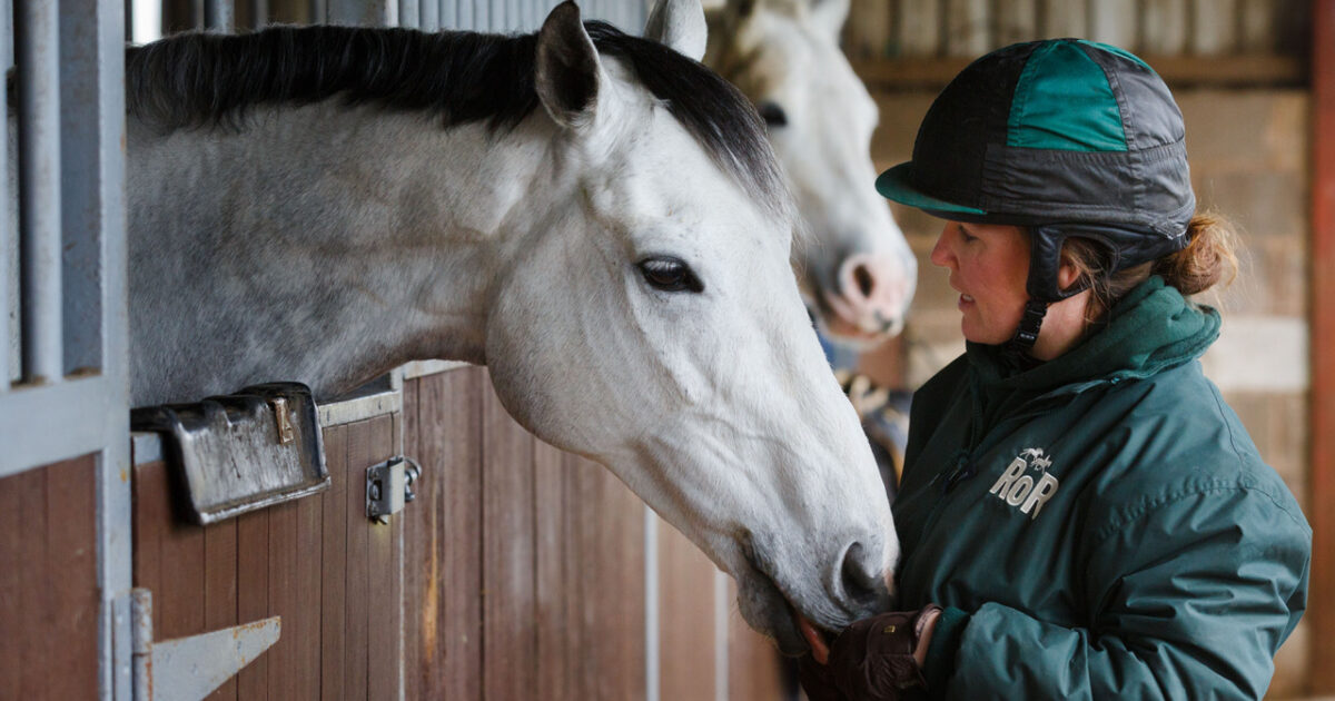 Ten Rehoming Centres officially accredited by RoR - Retraining of ...