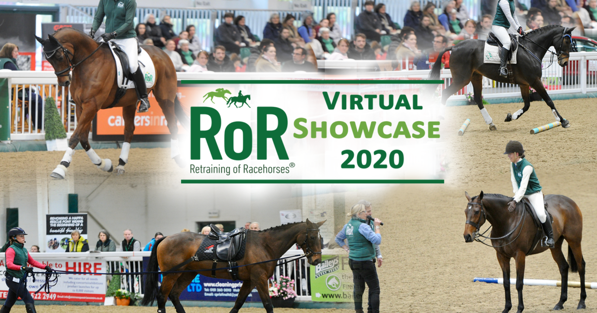 Experts join forces with RoR for online events in December - Retraining ...