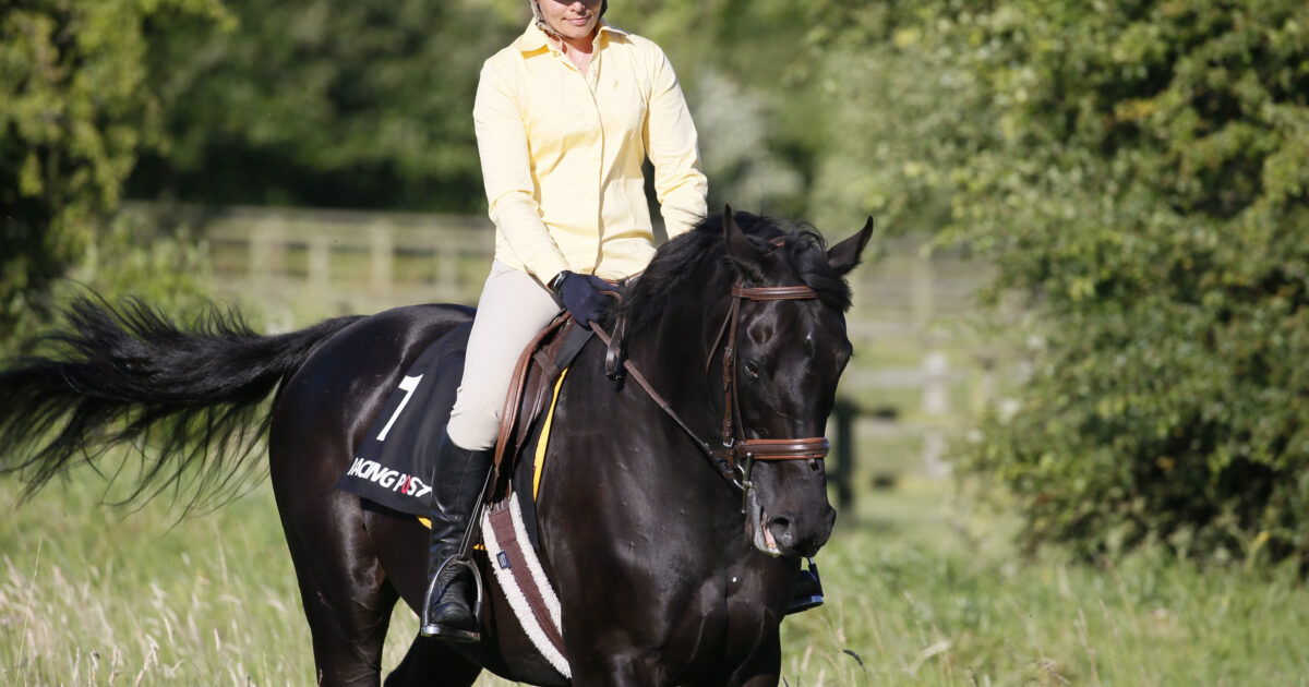 Side Glance – the horse who takes everything in his stride - Retraining ...