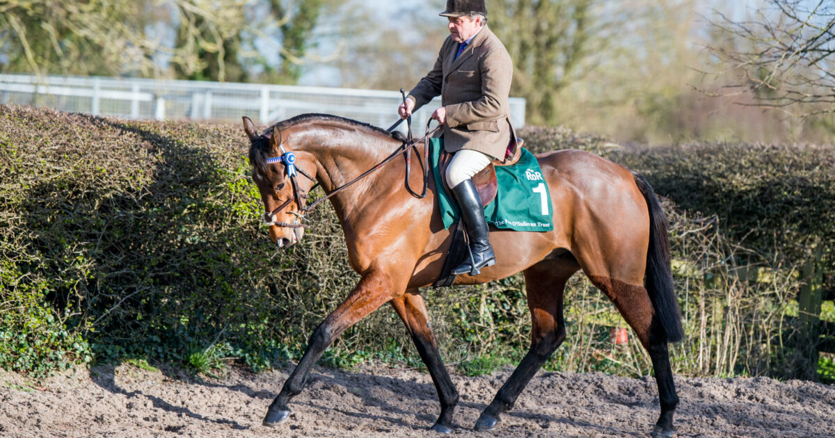 RoR Showing Webinar - Retraining of Racehorses