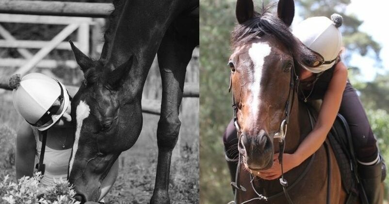 One Pekan - RoR Horse Personality of the Year Award Finalist ...